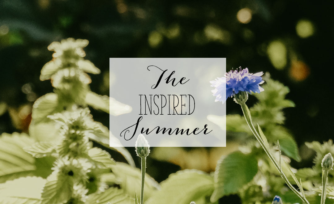 Summer Snaps - Alex Inspired